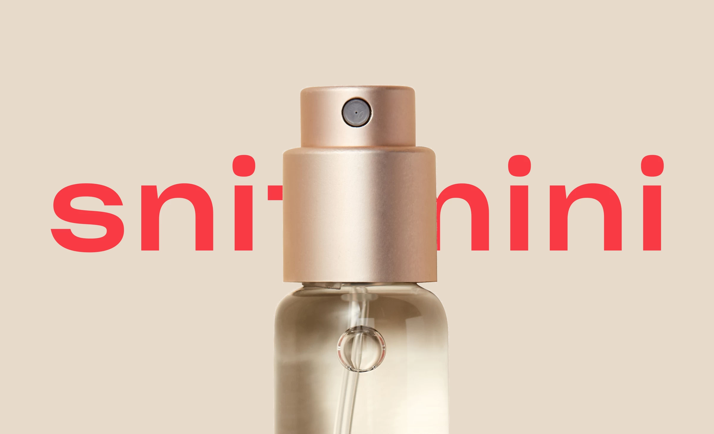 Snif Mini – Grand Public